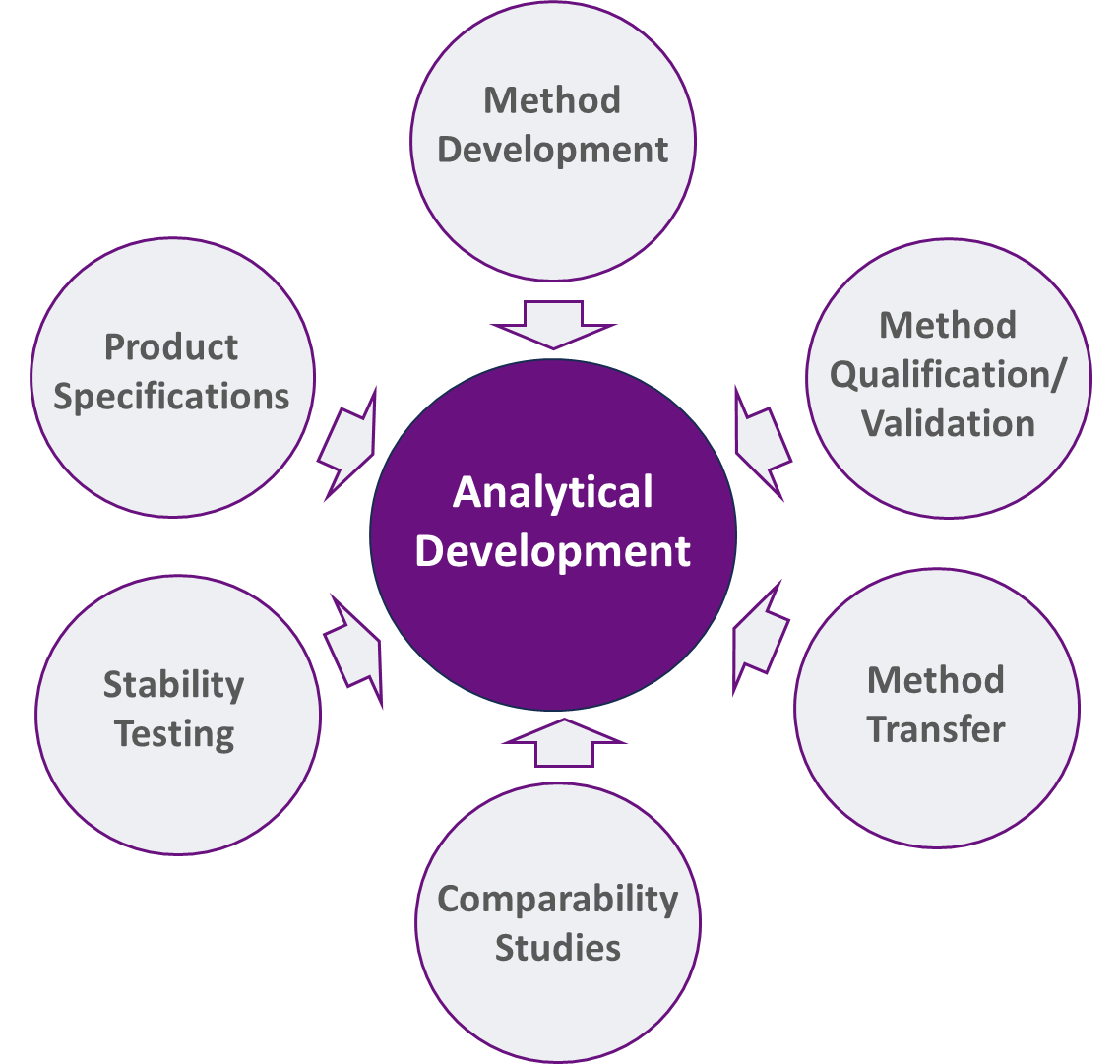 Analytical Development (CMC) - Wynia Pharma Consultancy